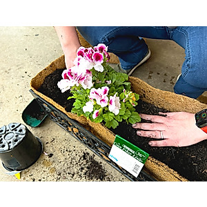 Bosmere F919 30 Inch Pre Formed Replacement Coco Liner with Soil Moist for Window Basket, Brown