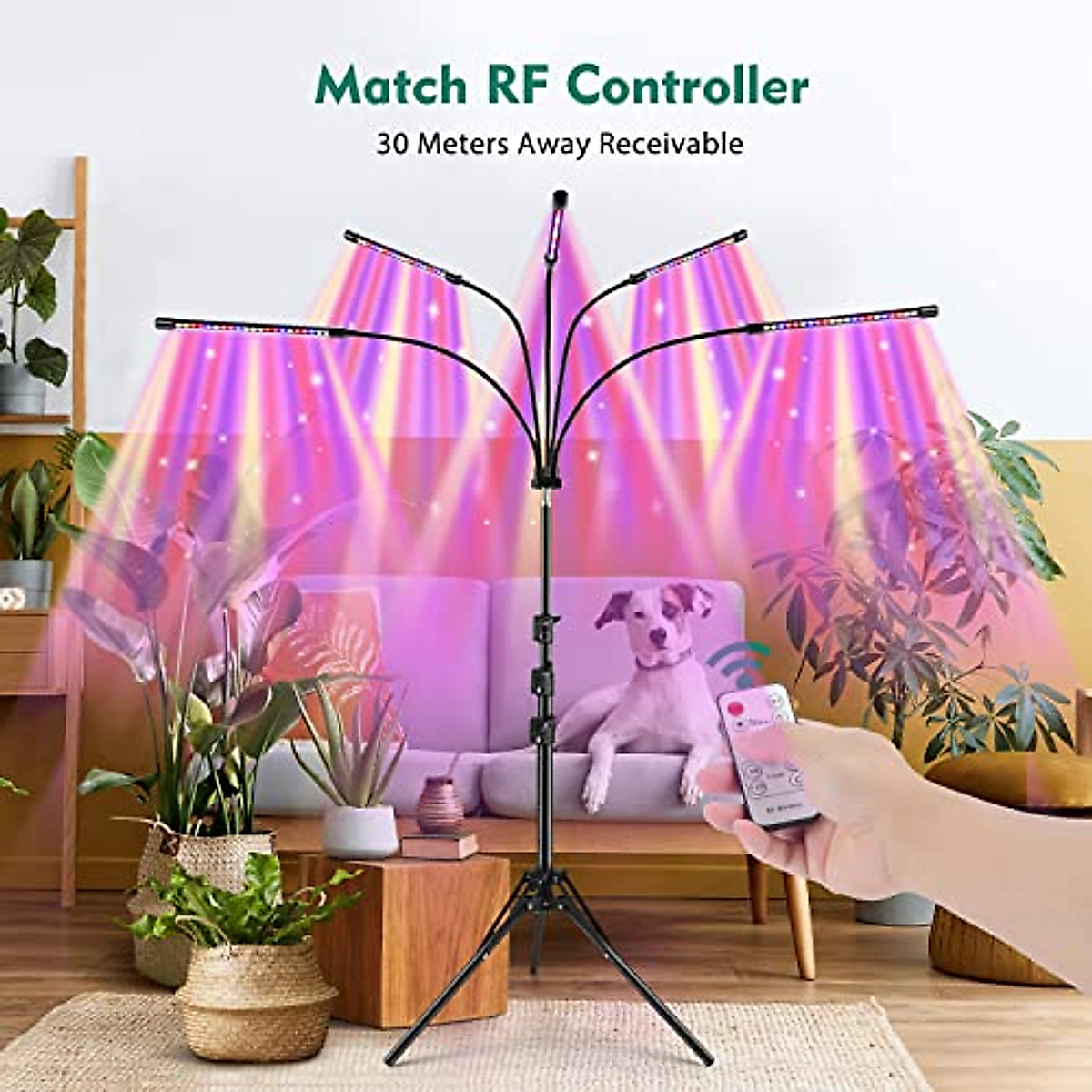 AMBOR Grow Lights for Indoor Plants with Stand, [5-Heads] Floor Plant Light, 150W Full Spectrum LED Plant Grow Lamp with 4 8 12H Timer, 10 Dimmable Brightness, Remote Control and Auto ON/Off