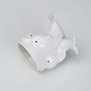 Hemoton Cute Succulent Planter, Ceramic Animal Dolphin Plant Pots with Drainage Hole, Planters for Indoor Plants Succulents