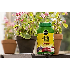 Miracle-Gro Shake 'n Feed All Purpose Continuous Release Plant Food, 1-Pound (Slow Release Plant Fertilizer)