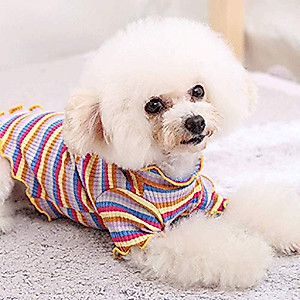 Girl Dog Clothes with Legs T-Shirt Cute Dog Vest Rainbow Clothes Pajamas Winter Cat Puppy Shirt Pet Pet Clothes Winter Dog Clothes for Large Dogs Girl