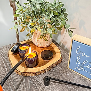 Cornucopia 2oz Cobalt Blue Glass Cosmetic Jars (12-Pack); Straight Sided Jars w/Black Plastic Lined Lids for Balms, Cosmetics, Creams & More