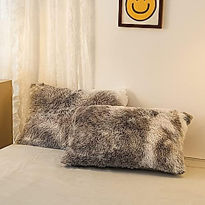 Jameswish Shaggy Plush Duvet Cover Set Super Soft Fluffy Faux Fur Comforter Cover Set Luxury Fuzzy Bedding Set 3 Piece(1Duvet Cover+2Pillowcases) with Zipper Closure(Queen Size,Gray White Ombre)