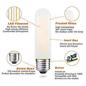 AIELIT T10/T30 Frosted LED Light Bulb 25 Watt Equivalent, Warm White 2700K, 200 LM, E26 Standard Base, 2W Dimmable LED Tube Bulbs, Classic Filament Edison Bulb for Pendant Lights Chandelier, 4-Pack