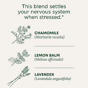 Traditional Medicinals Organic Chamomile & Lavender Herbal Tea, Settles Nervous System, (Pack of 6) - 96 Tea Bags Total