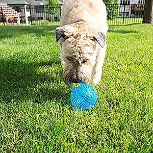 Gnawsome™ 4.5” Spiky Squeaker Ball Dog Toy - Extra Large, Cleans Teeth and Promotes Good Dental and Gum Health for Your Pet, Colors will vary, 4.5&quot