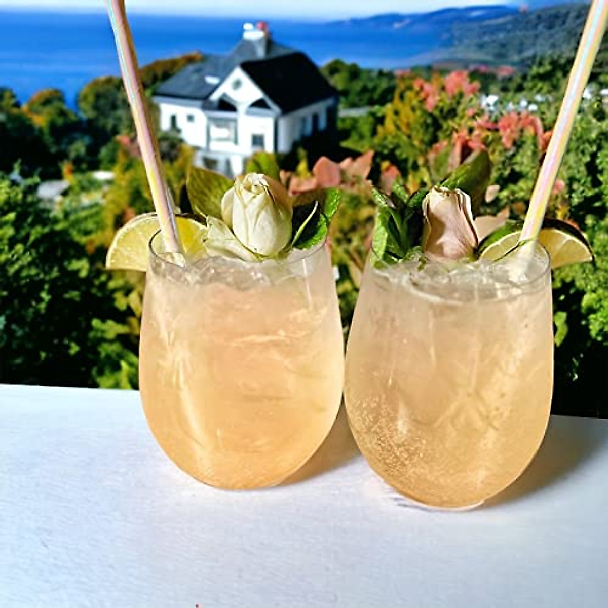 24 piece Stemless Unbreakable Crystal Clear Plastic Wine Glasses Set of 24 (12 Ounces)