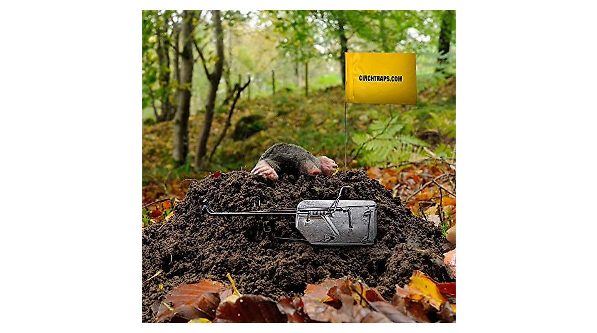 Cinch Mole Trap with Tunnel Marking Flag -Heavy-Duty, Reusable Trapping ...