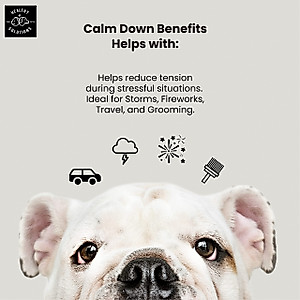 Calming Chews for Dogs - Dog Calming Treats for Anxiety & Stress Relief with Melatonin and Ginger - Aid with Storms, Grooming, Fireworks, Separation, Travel, Motion Sickness, & Sleep - 120 Chews