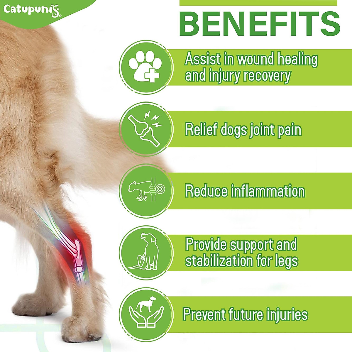 CATUPUNIS 2PCS Dog Braces for Back Leg for Support. Dog Arthritis Brace. Hind Leg Support for Dogs. Leg Brace for Dogs Back Leg. Dog Leg Brace. Dog Back Leg Support Brace. Dog Hock Brace Rear Leg (L)