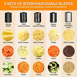 Electric Cheese Grater,250W Automatic Vegetable Chopper with 5 Attachments,Veggie Cutter Julienne Slicer Shredder for Carrot,Potato,Fruit,Block Cheese