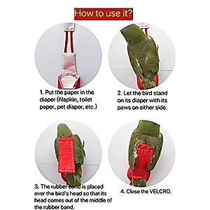 HEZHUO Parrot Diaper Bird Flight Suit, Bird Clothes, Waterproof Lining Pet Bird Supplies (L, Red)