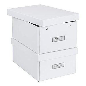 Bigso Karin Collapsible Storage Box | Photo Storage Box with Labelframe for Identification | Simple Assembly without Tools | Decorative Storage Boxes with Lids | 8.9″ x 12.4″ x 5.4″ | 2 Pack | White