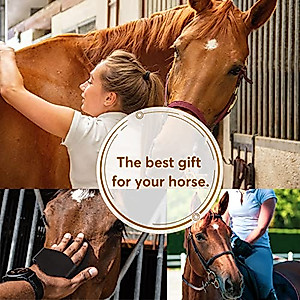 Wokape 2Pcs Horse Care Tool Kit, Incl Brush with Loop Handle/Reversible Stainless Steel Brush, Hairy Pet Care Tools for Shedding Grooming Horses Dogs Cattle Cats