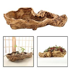 Gazechimp Driftwood Stump Log Resin Planter/Succulent Pot/Plant Pot, 14.2L x 4.7W