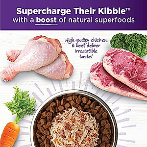 Wellness Bowl Boosters Simply Shreds Natural Grain Free Wet Dog Food Mixer or Topper, Chicken, Beef & Carrots, 2.8-Ounce Pouch(Pack of 12)