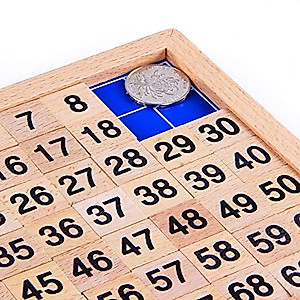 DANNI Montessori Baby Wood Math 1-100 Digital Cognitive Teaching Aids 1010 Multiplication Table Children Math Number Educational Toys