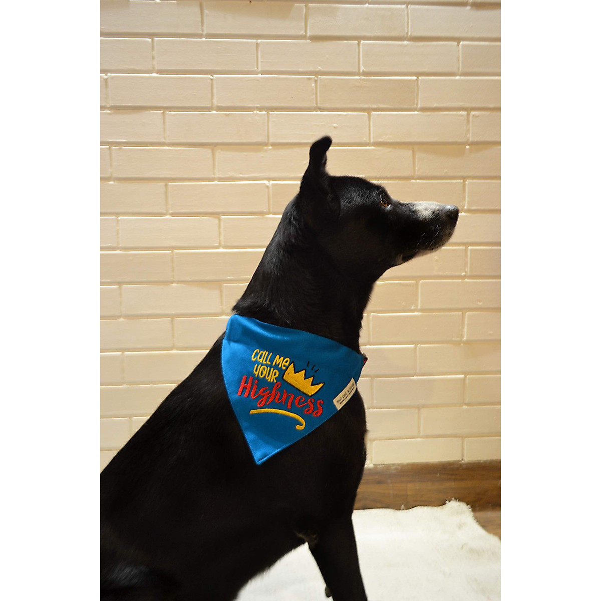 That Dog In Tuxedo Call me Your Highness Dog Bandana/Dog Scarf with Adjustable Dog Collar (Size XL)