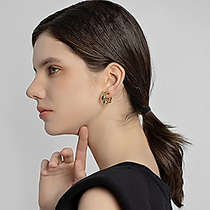 LILIE&WHITE Gold Clip on Earrings For Women Fashion Clip on Hoop Earrings No Piercing Earrings Clipon Earrings For Women