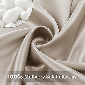 Adubor Silk Pillowcase 2 Pack for Hair and Skin with Hidden Zipper, Both Sides 23 Momme Silk Pillow Case (Beige, Queen: 20''X30'')