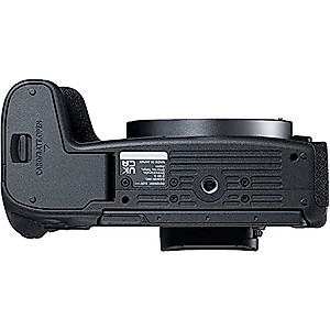 Canon EOS R8 Mirrorless Camera (5803C002) + Rode VideoMic + 64GB Memory Card + Corel Photo Software + Bag + Charger + 2 x LPE17 Batteries + Card Reader + LED Light + Flex Tripod + More (Renewed)