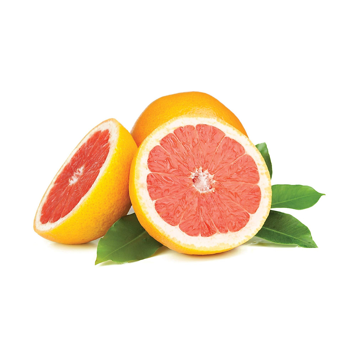 HIC Kitchen Squirtfree Serrated Twin-Blade Grapefruit Sectioning Knife,Silver