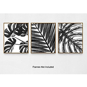 Grey Tropical Leaf Botanical Wall Art 3 Piece Print Set 8x10 Unframed Black and White Monstera and Palm Leaves for Bathroom, Bedroom Home Decor Idea