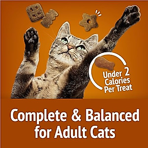 Purina Friskies Cat Treats, Party Mix Chicken Lovers Crunch - 20 Ounce (Pack of 1)