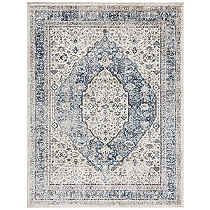 SAFAVIEH Oregon Collection Area Rug - 8' x 10', Beige & Grey, Oriental Distressed Design, Non-Shedding & Easy Care, Ideal for High Traffic Areas in Living Room, Bedroom (ORE896B)