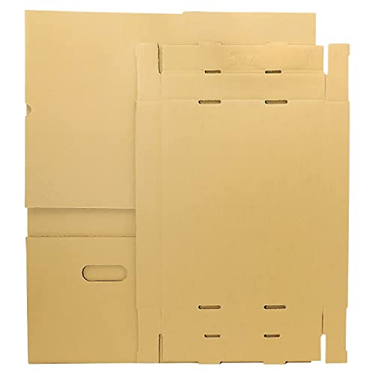 Lineco, RTA Record Storage Carton, 12x15x10 Inch, Archival Acid-Free Buffered Double Layered Panels, No Adhesive or Tools Needed (Pack of 5) Tan