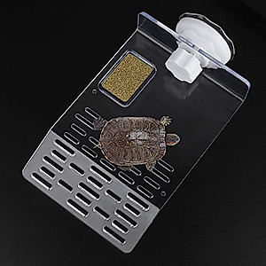 Turtle Basking Platform, Turtle Tank Platform Aquarium Animal Transparent Sink Wharf, Reptile Habitat, Climbing Shelf Turtle Tank Dock Floating Decor with Sucker Cap Medium