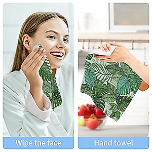 ALAZA Wash Cloth Set Tropical Palm Jungle Leaves - Pack of 6, Cotton Face Cloths, Highly Absorbent and Soft Feel Fingertip Towels(236br3a)