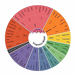 Bebe Sheer By Bebe Eau De Parfum Spray 3.4 Oz Women