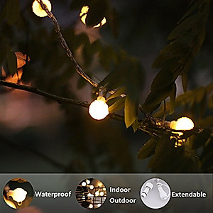 LED Globe String Lights, 100 LED Warm White Globe String Lights Plug in, Waterproof Globe Lights for Indoor and Outdoor, Ideal for Home, Wedding Party, Christmas, Balcony, 49ft Extendable Globe String