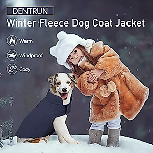 DENTRUN Windproof Winter Warm Fleece Medium Dog Coat Reversible Puppy Jacket Reflective Soft Pet Vest, Cold Weather Dog Sweater Apparel Leash Access Overcoat for Medium Breeds, NavyBlue, M