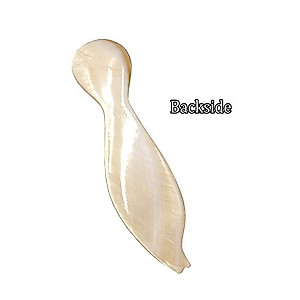 Wenplus 2 Pack 4.73inch Caviar Spoons Handcraft Mother of Pearl MOP Caviar Spoon W Round Handle with One Plastic Storage Box -Coffee Color, Style F