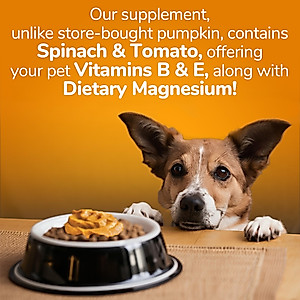 Fruitables Pumpkin Digestive Supplement – Made with Pumpkin for Dogs – Healthy Fiber Supplement for Pet Nutrition – 15 ounces