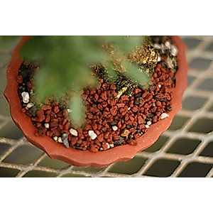 Tinyroots Red Lava Rock for Plants, 2.25 Quarts, Sifted Bonsai and Cactus Soil Additive, Maintains Proper Moisture, Used for Top Dressing, Volcanic Rock, No Dyes or Chemicals