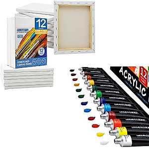 FIXSMITH 8 X 10 Inch White Stretched Canvases 12 Pack & Artist Quality Acrylic Paint Set, 12 Colors/Tubes (12 ml/0.41 oz.)
