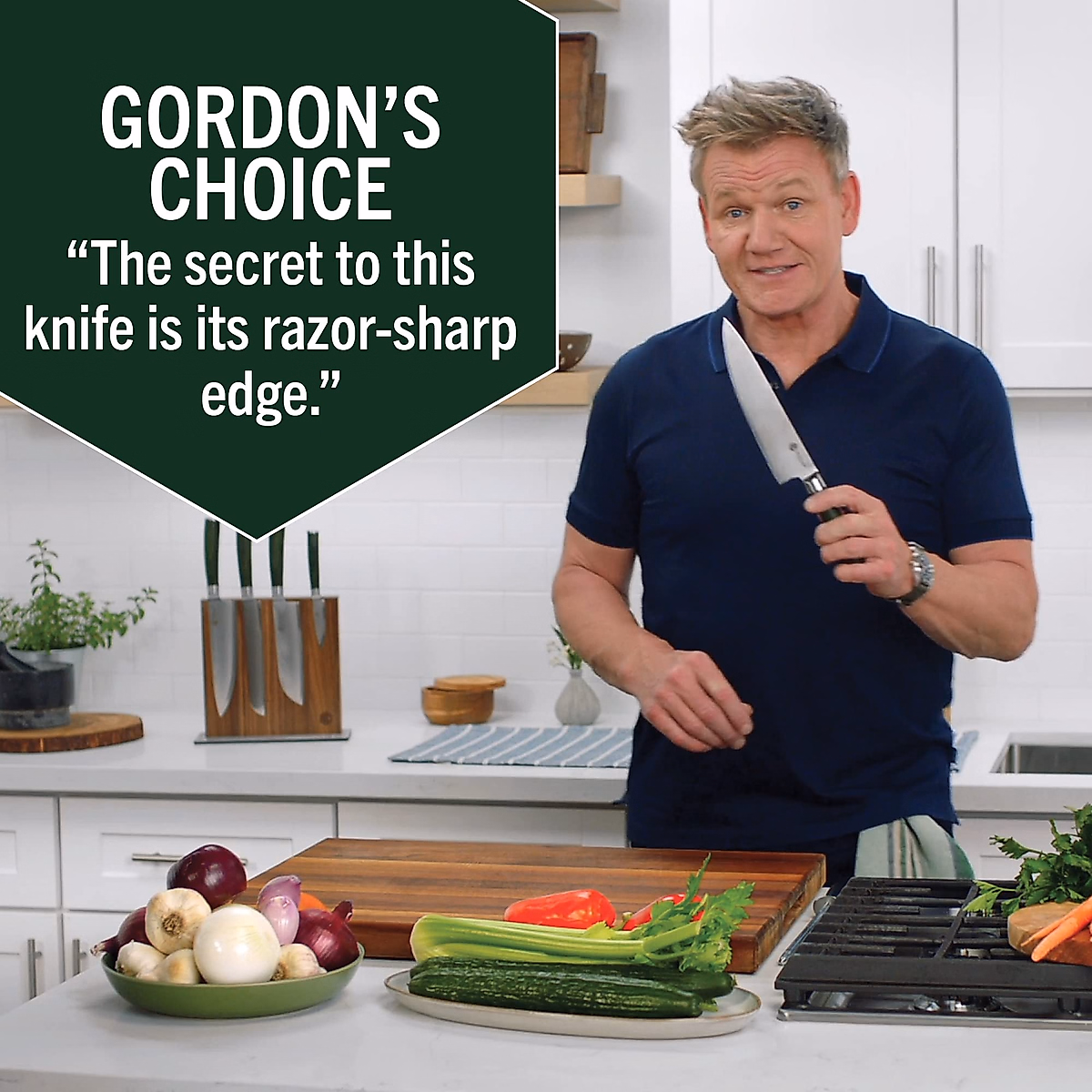 HexClad 10 Piece Knife Set - 4 piece Steak Knives and 6 Piece Essential Knife Set, Fine Edge, Non-Serrated, 60 Rockwell Rating, Forest Green Pakkawood Handles