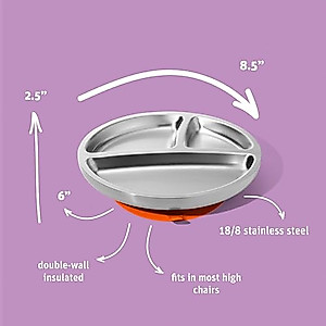 Avanchy Baby Toddler Plates with Suction Divided Stainless Steel for Feeding Babies Kids Toddlers Food, Large,Green