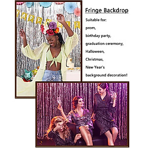 NIACONN 5 Packs Silver Tinsel Fringe Photo Backdrop Metallic Foil Fringe Curtains Door Streamers for Birthday Party Decorations (Silver / 3.3 ft x 6.6 ft)