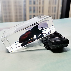Real Japanese Rhinoceros Beetle Insect Specimens in Resin Paperweight Crafts, Animal Taxidermy Collection for Science Education & Desk Ornament (Japanese Rhinoceros Beetle)