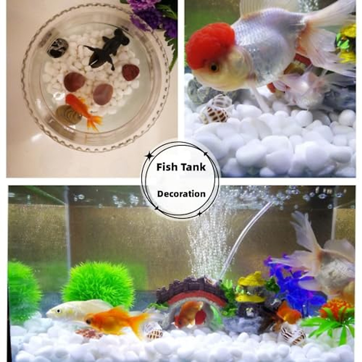 White Rock Pebbles 2.1lb Pumice Potting Soil Amendment - Succulent & Cactus Bonsai Gritty Rock Decorative Gravel Plant Drainage for Top Dressing & Fairy Gardening