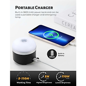 Wildley Camping Lantern, 600LM Camping Lights, 5 Light Modes Rechargeable Lantern Waterproof Mini Flashlight Emergency Lights for Home Power Failure, Camping Hanging, Car Camping (Black)