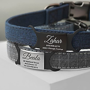 JATEBI 2 Pack Personalized Dog Tag, Slide-On Pet ID Tags,Stainless Steel Dog Tags, No Jingle Slide on Cat ID Tag, Custom Engraved No Noise Animal Identification Tag(L Silver)…