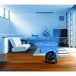 Lasko 3635 10-Inch Blades Air Flexor Floor or Wall Mount Fan, Black