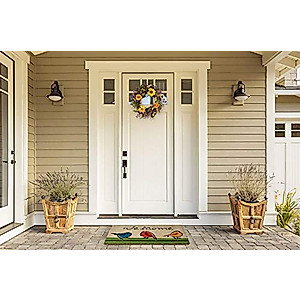DII Natural Coir Doormat Outdoor Welcome Mat, 17x29, for The Birds