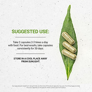 Secrets of the Tribe - UTI Secret, Urinary Tract Formula, Herbal Supplement Blend (60 Capsules)