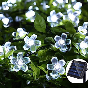Solar Flower String Lights,AMZSTAR® 21ft 50 LED Peach Blossom Fairy Lights Indoor/Outdoor Decorative String Lights for Home Garden Patio Lawn Party and Weeding Decorations(White)